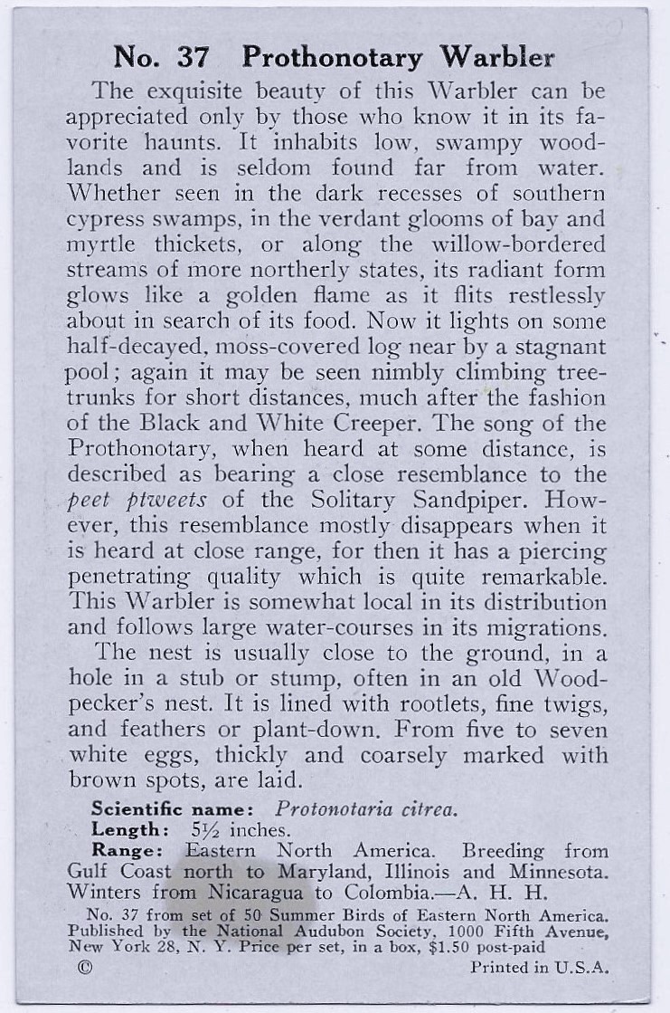 The Prothonotary Warbler - History In The Mail | Postcards and Historic ...