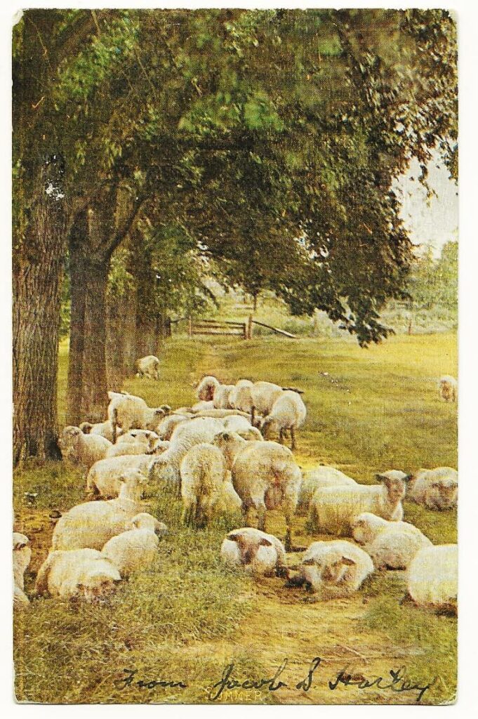 A Pastoral Scene for Mr. Nyce - Vernfield, PA (1907) - History In The ...