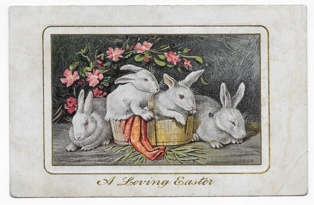 A Basket of Rabbits for Norman – Spokane, Washington (1913) - History ...