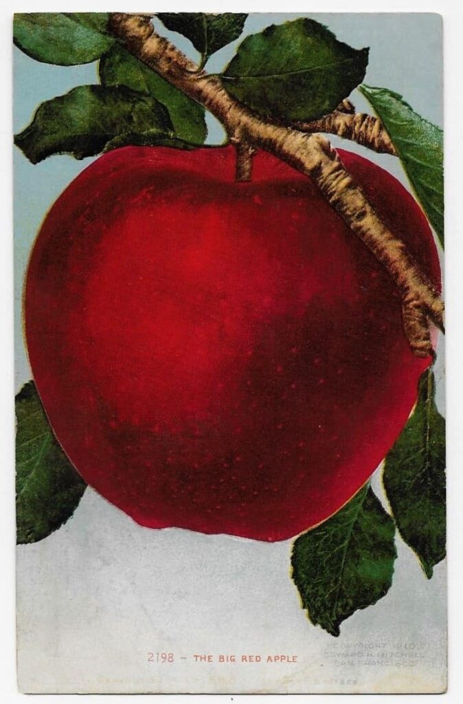 The Red Apple of California - Santa Cruz (1914) - History In The Mail ...