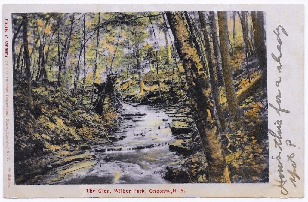 A Shady Spot – Oneonta, NY (1906) - History In The Mail | Postcards and ...