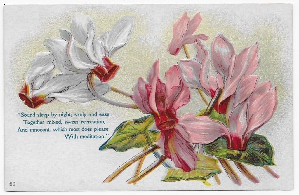 A Water Lily for Stella – Telford, PA (1910) - History In The Mail ...