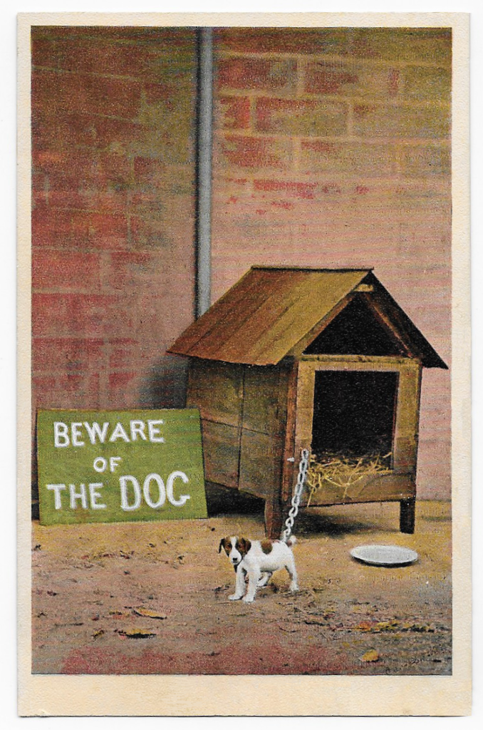 Comic Overstatement – Frontenac, Minnesota (1907) - History In The Mail ...