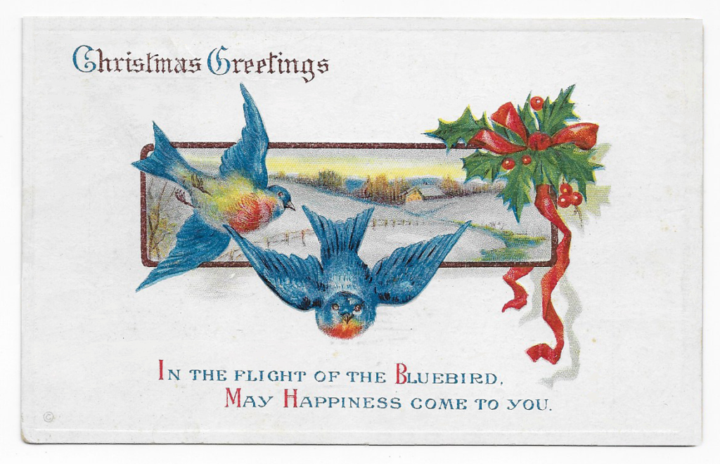 Bertha Sends a Christmas Bluebird – North Brook, PA (1920) - History In ...