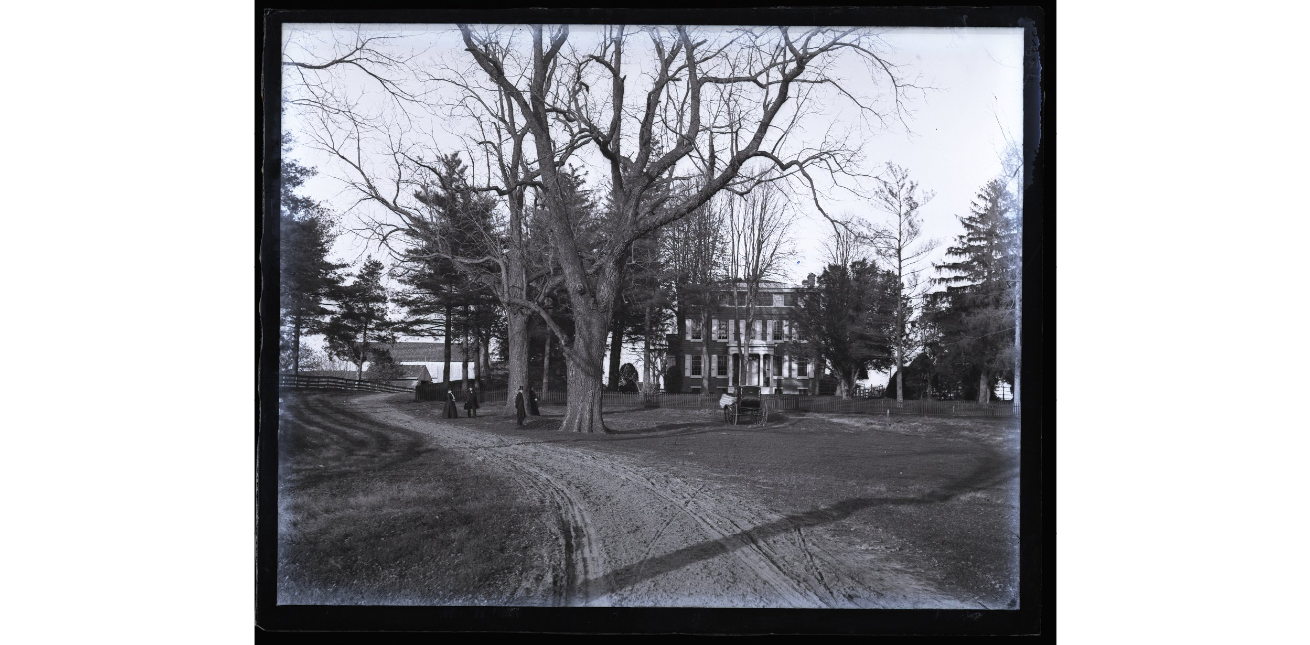 “Planting Trees for Future Generations” – Haddonfield, New Jersey ...