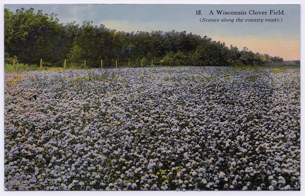 “Rolling in Clover” – Evansville, Wisconsin (1913) - History In The ...