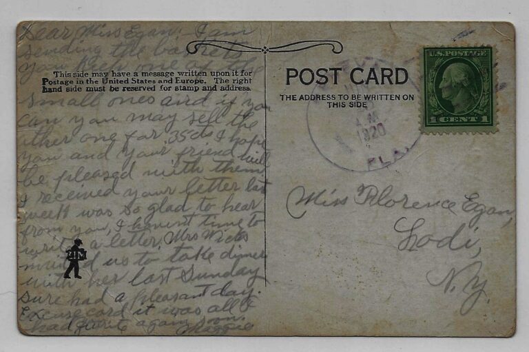 A Comic Postcard for “Leap Day” – Florida (1920) - History In The Mail ...